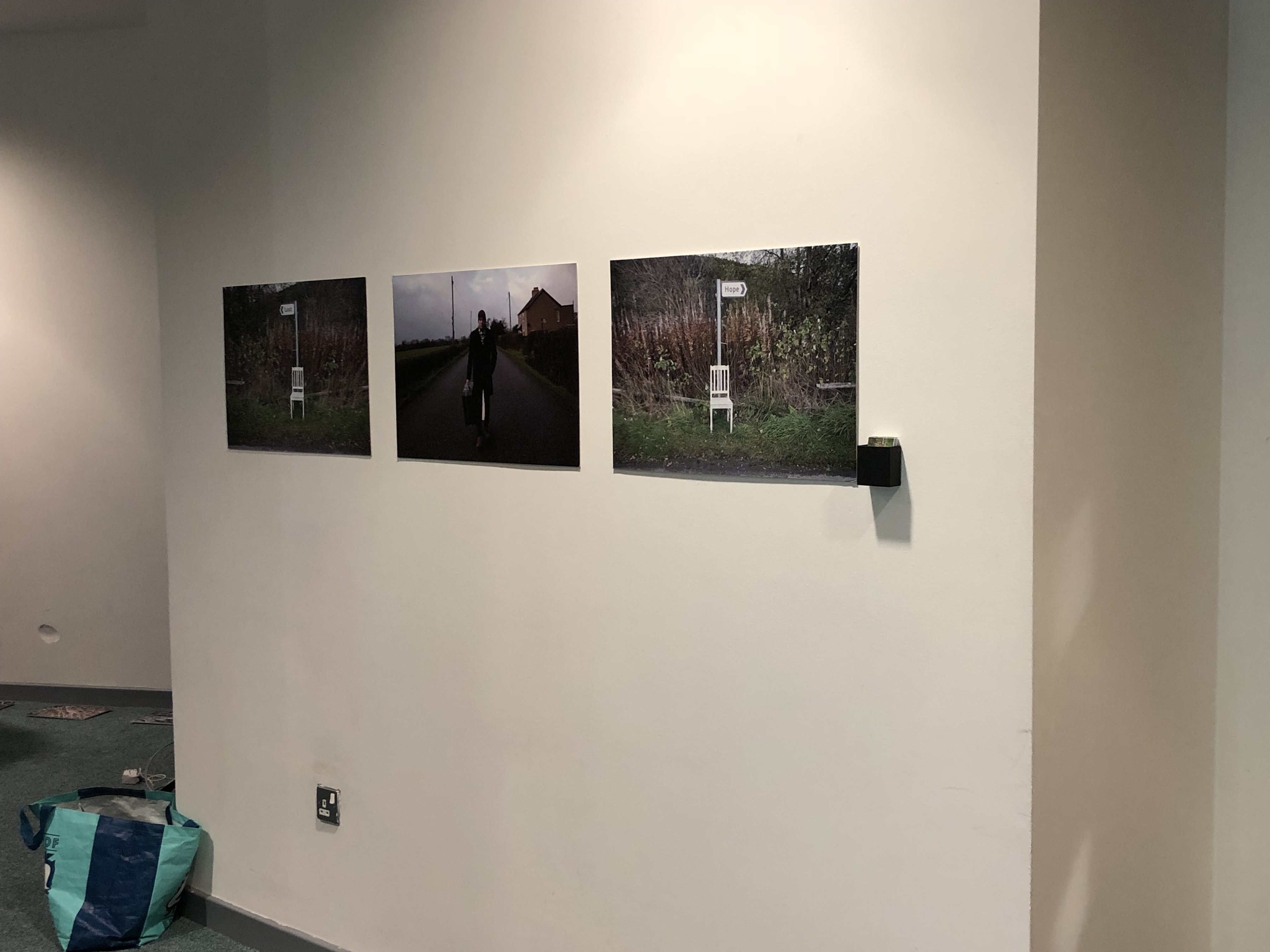 Ty Menai Exhibition – She's a Fine Artist