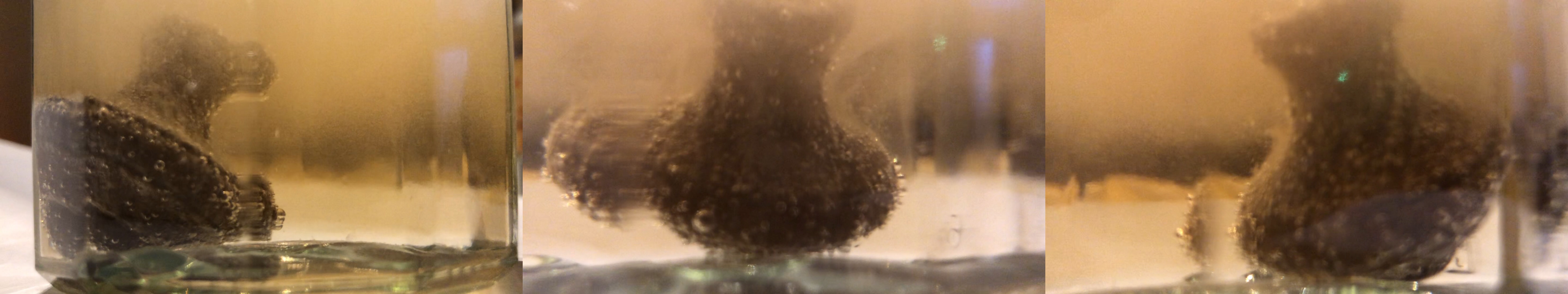 Rusting Objects – Michelle Wright, Fine Artist