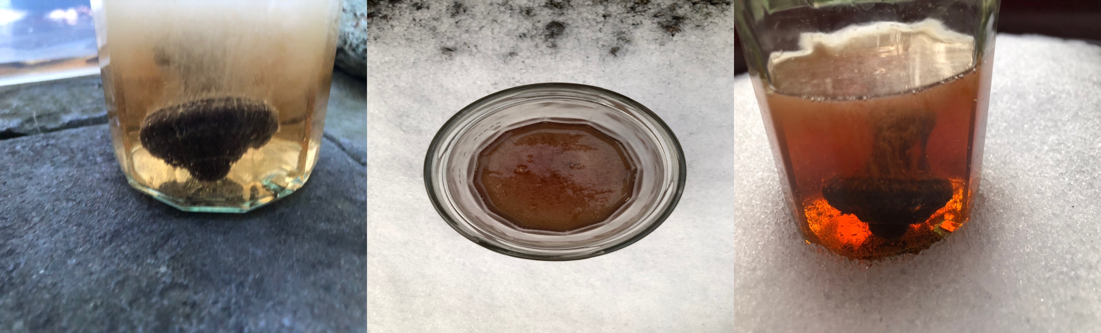 Rusting Objects – Michelle Wright, Fine Artist