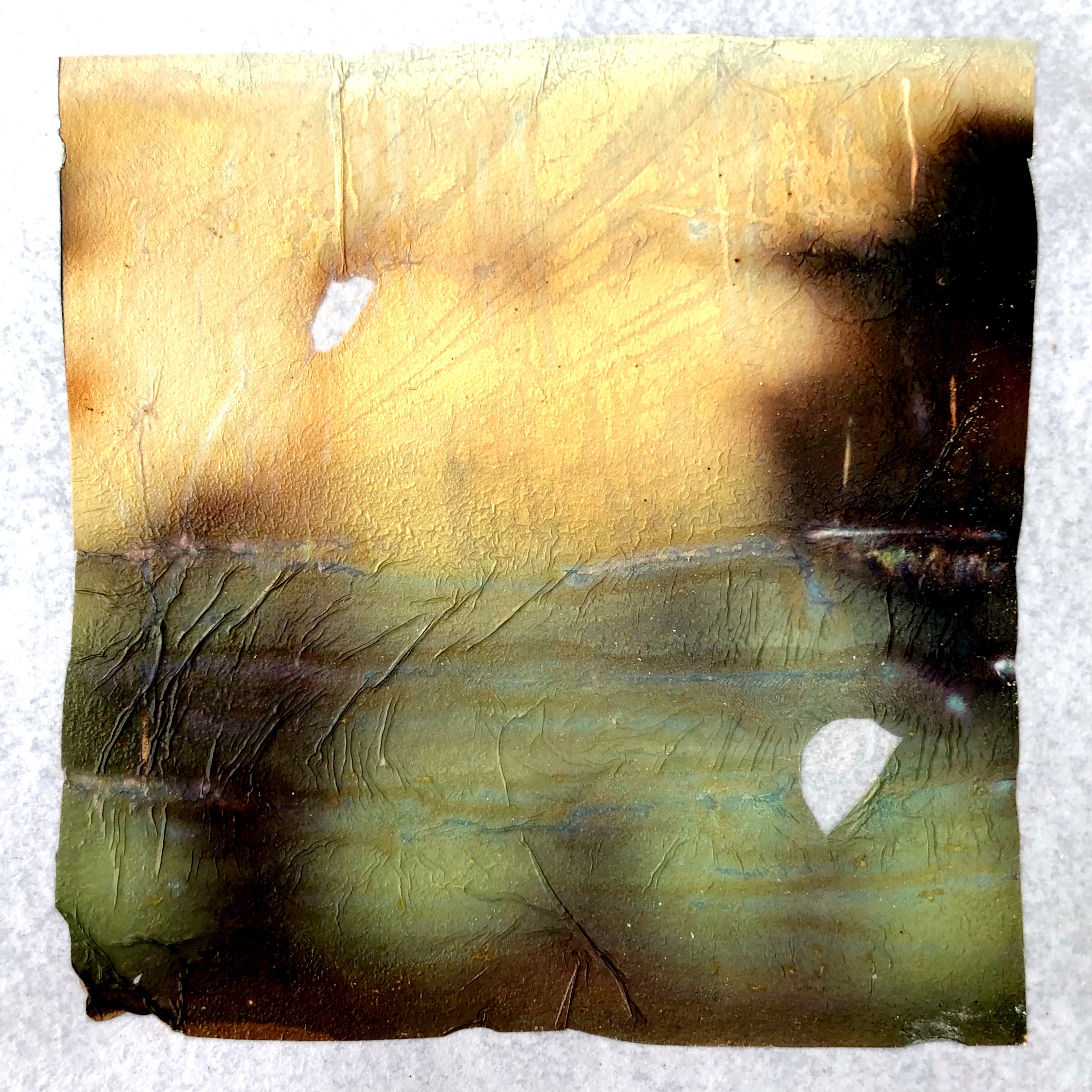 Experimenting with Poloroids – Michelle Wright, Fine Artist